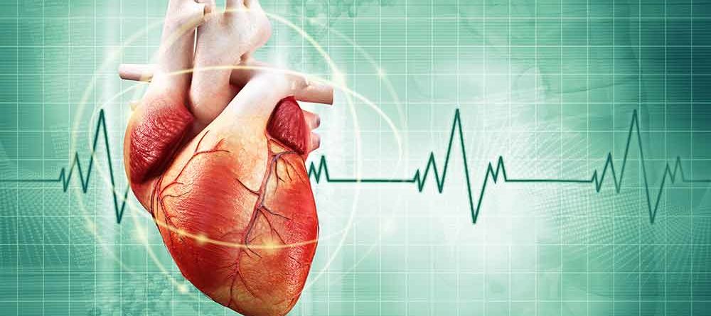 Effects of Alcohol on the Heart That Everyone Should Know